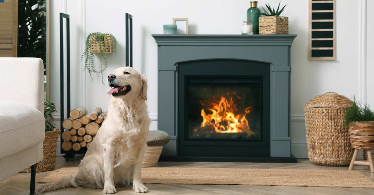 Kamīni un kamīnkrāsnis🏠